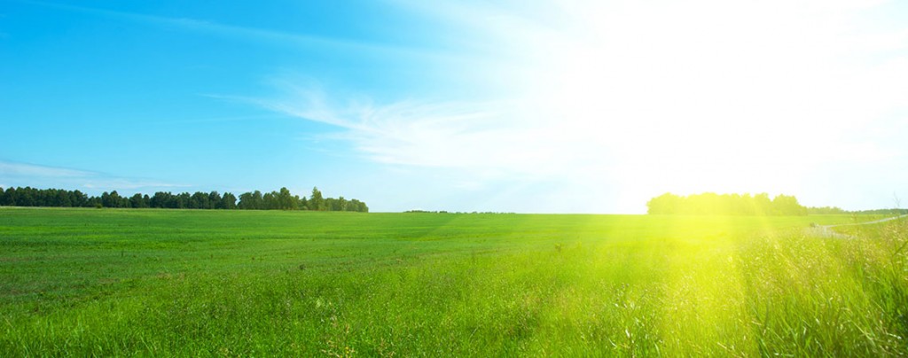 Agrisource Food Products Inc – We think global ingredients